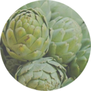 Gout Treatment - Find Relief with Urcinol | PurMEDICA