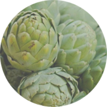 Gout Treatment - Find Relief with Urcinol | PurMEDICA