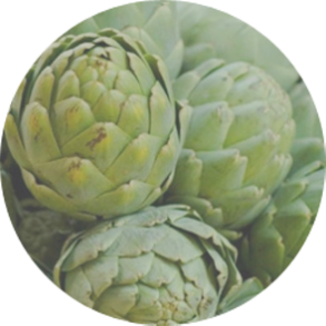 Gout Treatment - Find Relief with Urcinol | PurMEDICA