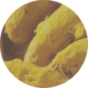 Gout Treatment - Find Relief with Urcinol | PurMEDICA